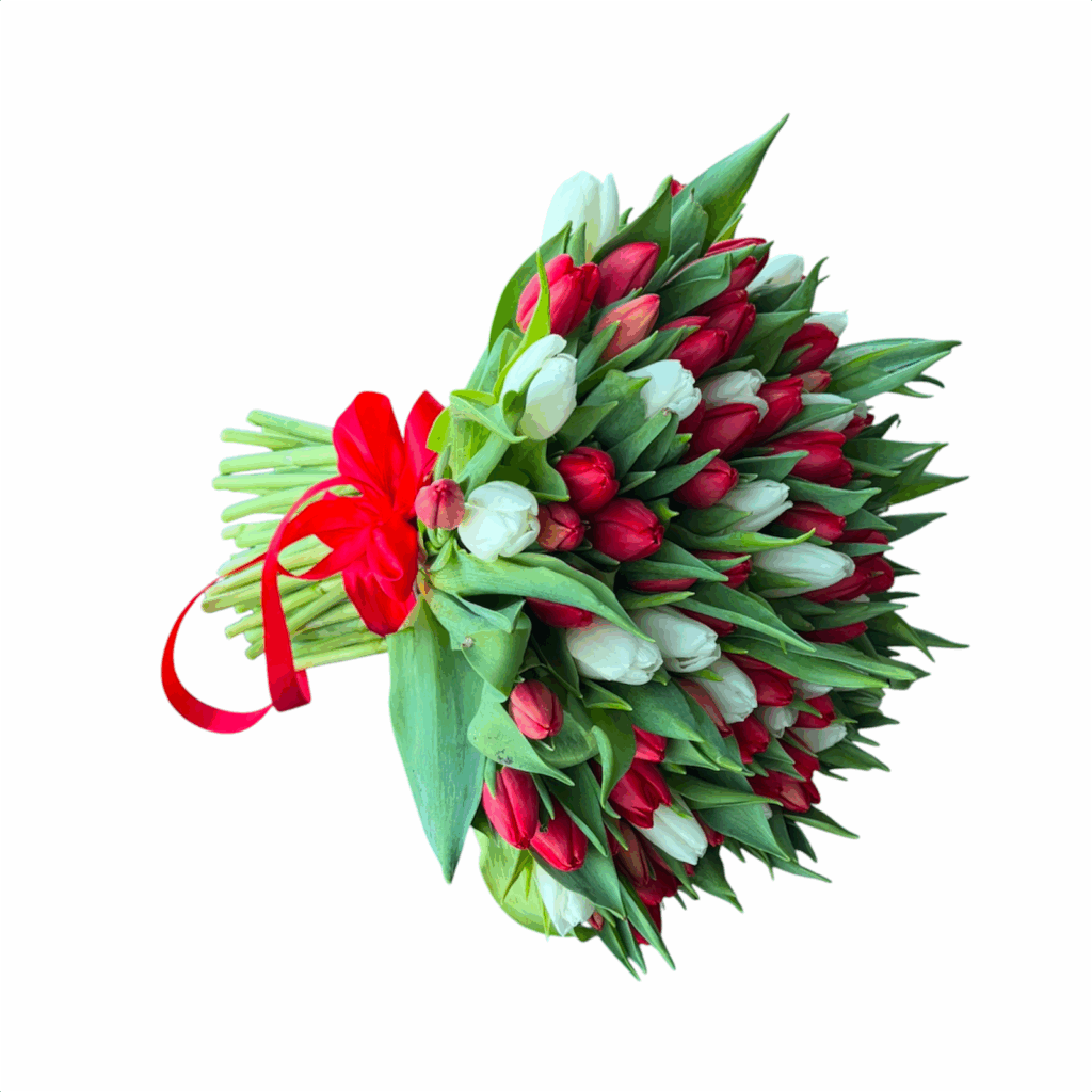 51 de lalele rosii si albe